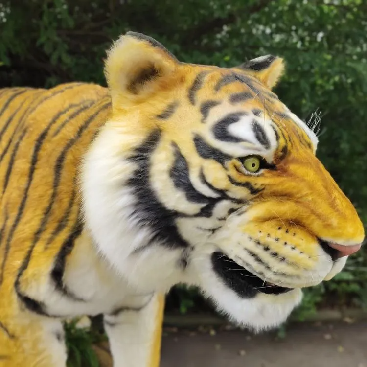 Animatronic Tiger Amd014 - Animatronic Dinosaur