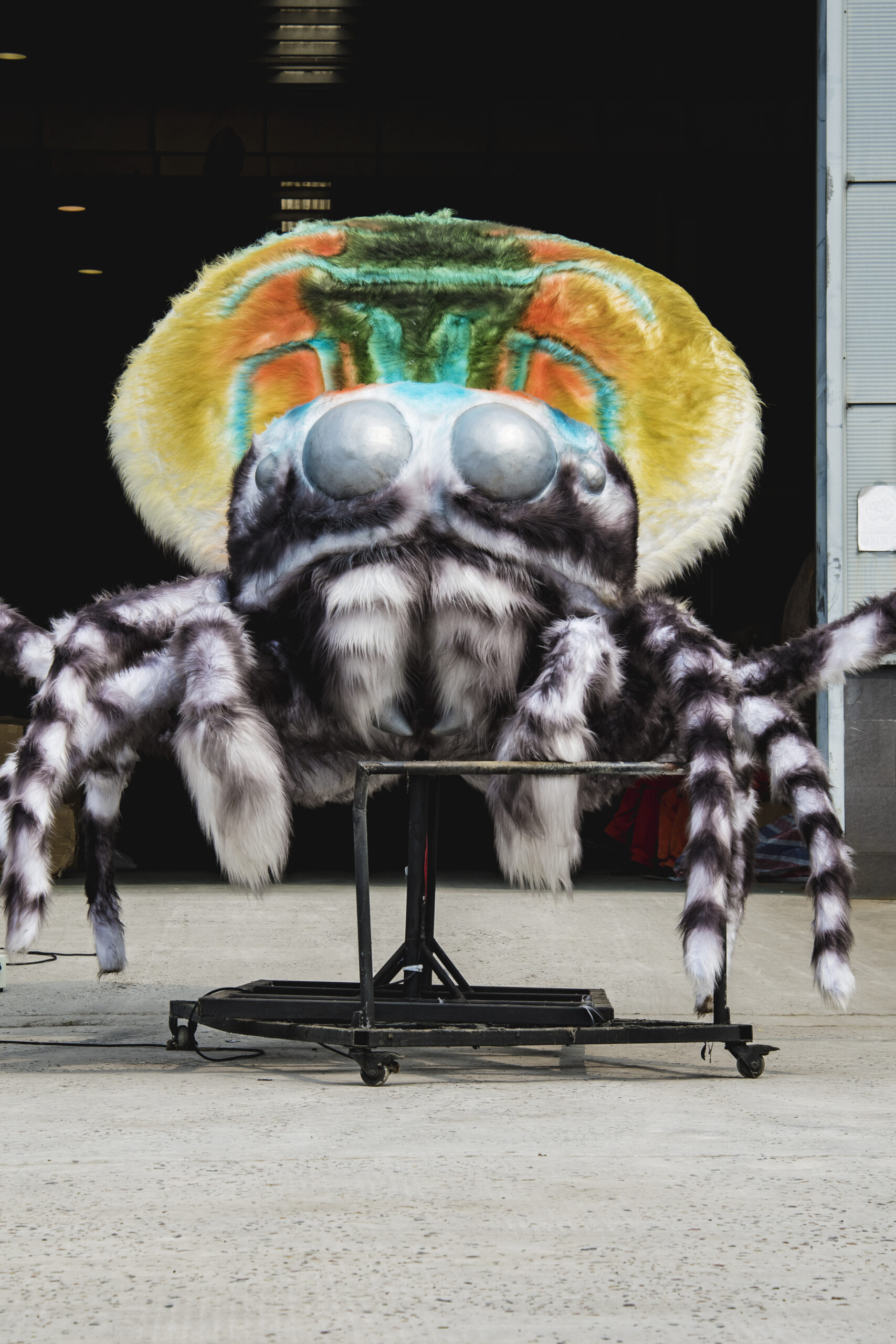 Animatronic Peacock Spider Amd011 - Animatronic Dinosaur